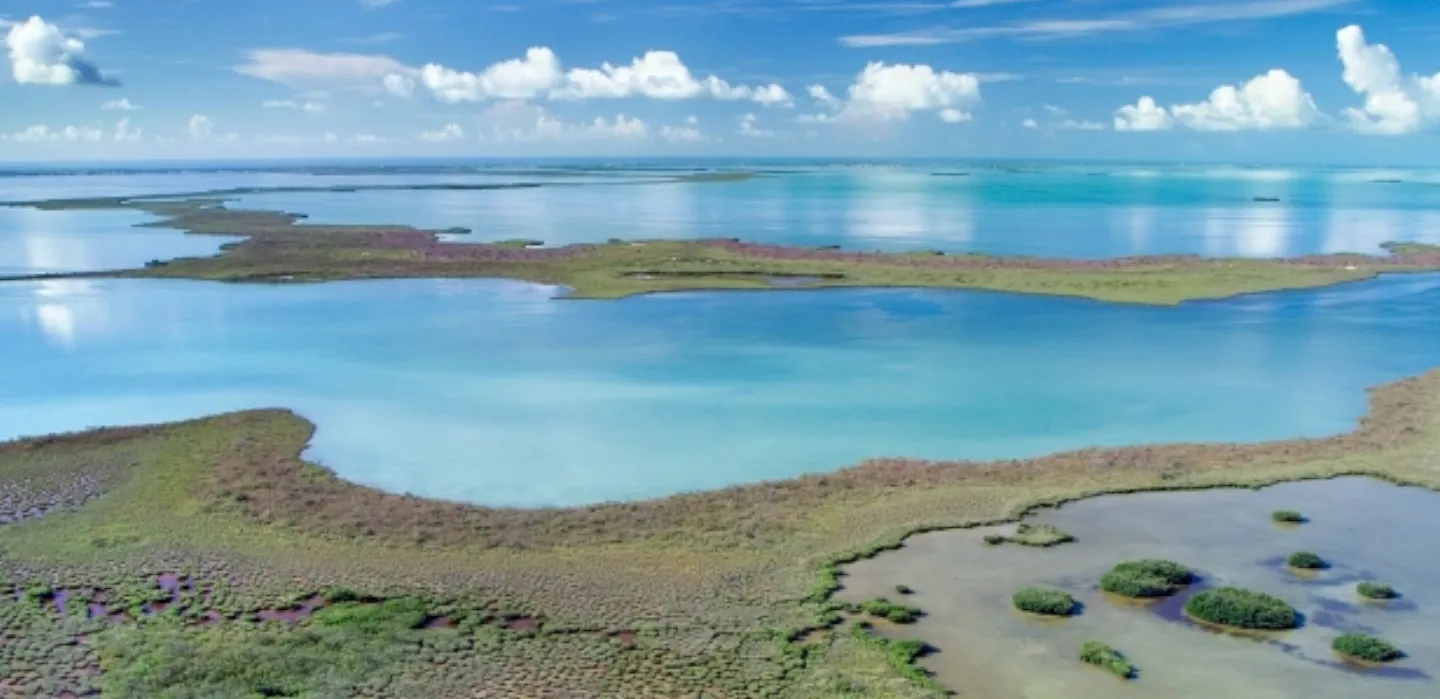 Florida - Google AI for Public Sector