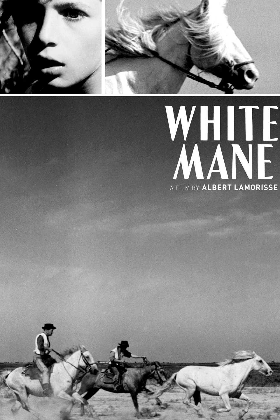 White Mane - Alchetron, The Free Social Encyclopedia