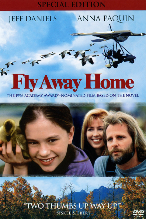 A truck carrying bees crashes : r/WTF