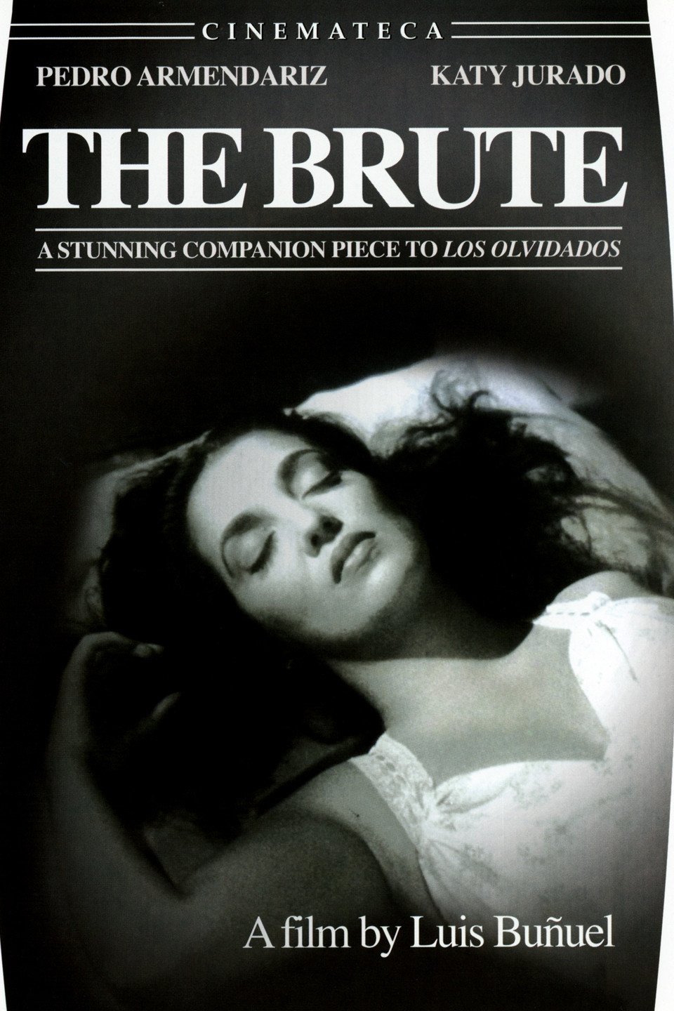 El Bruto - Alchetron, The Free Social Encyclopedia