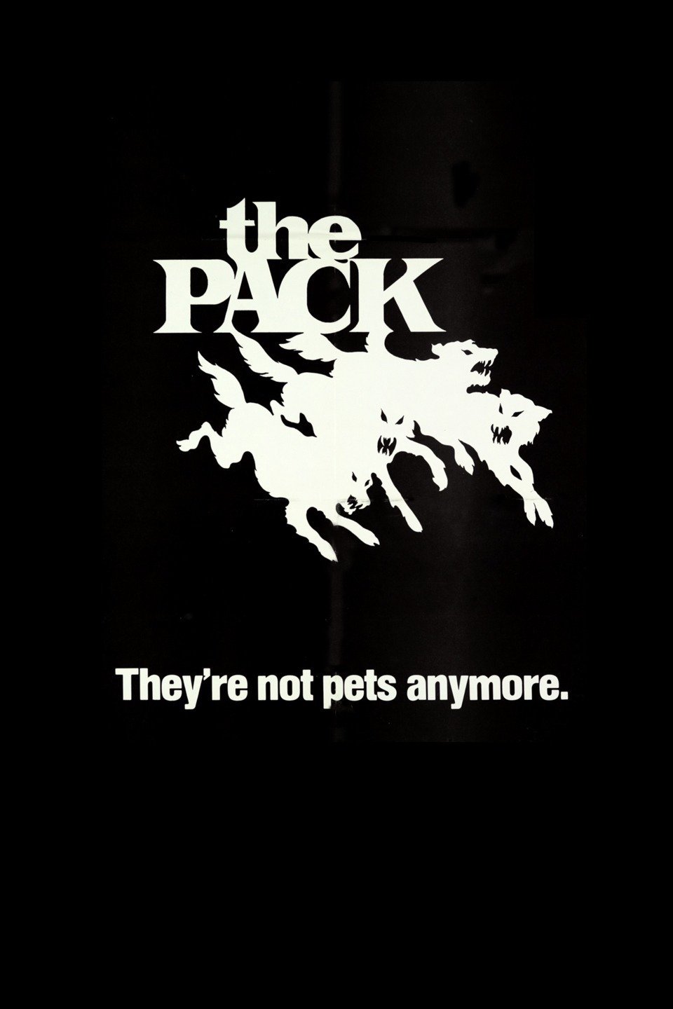 The Pack (1977 film) - Alchetron, The Free Social Encyclopedia