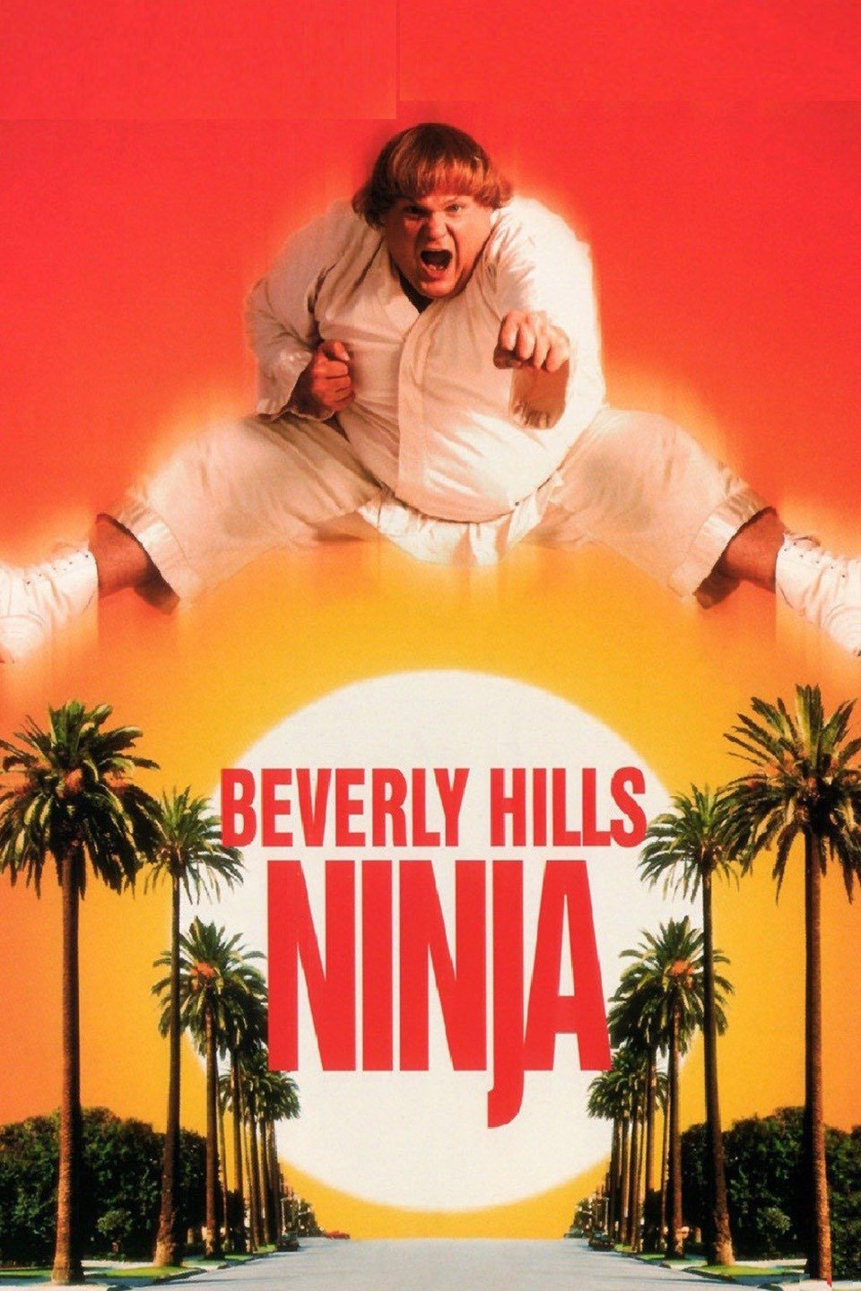 Beverly Hills Ninja - Alchetron, The Free Social Encyclopedia