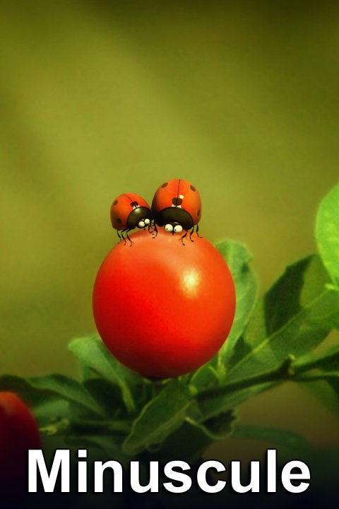 Minuscule (TV series) - Alchetron, The Free Social Encyclopedia