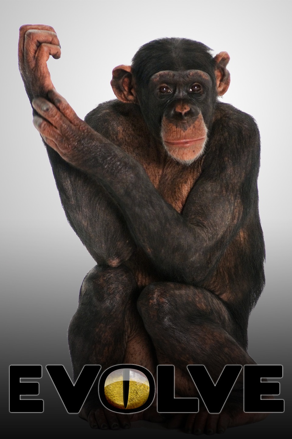 Evolve (TV series) - Alchetron, The Free Social Encyclopedia