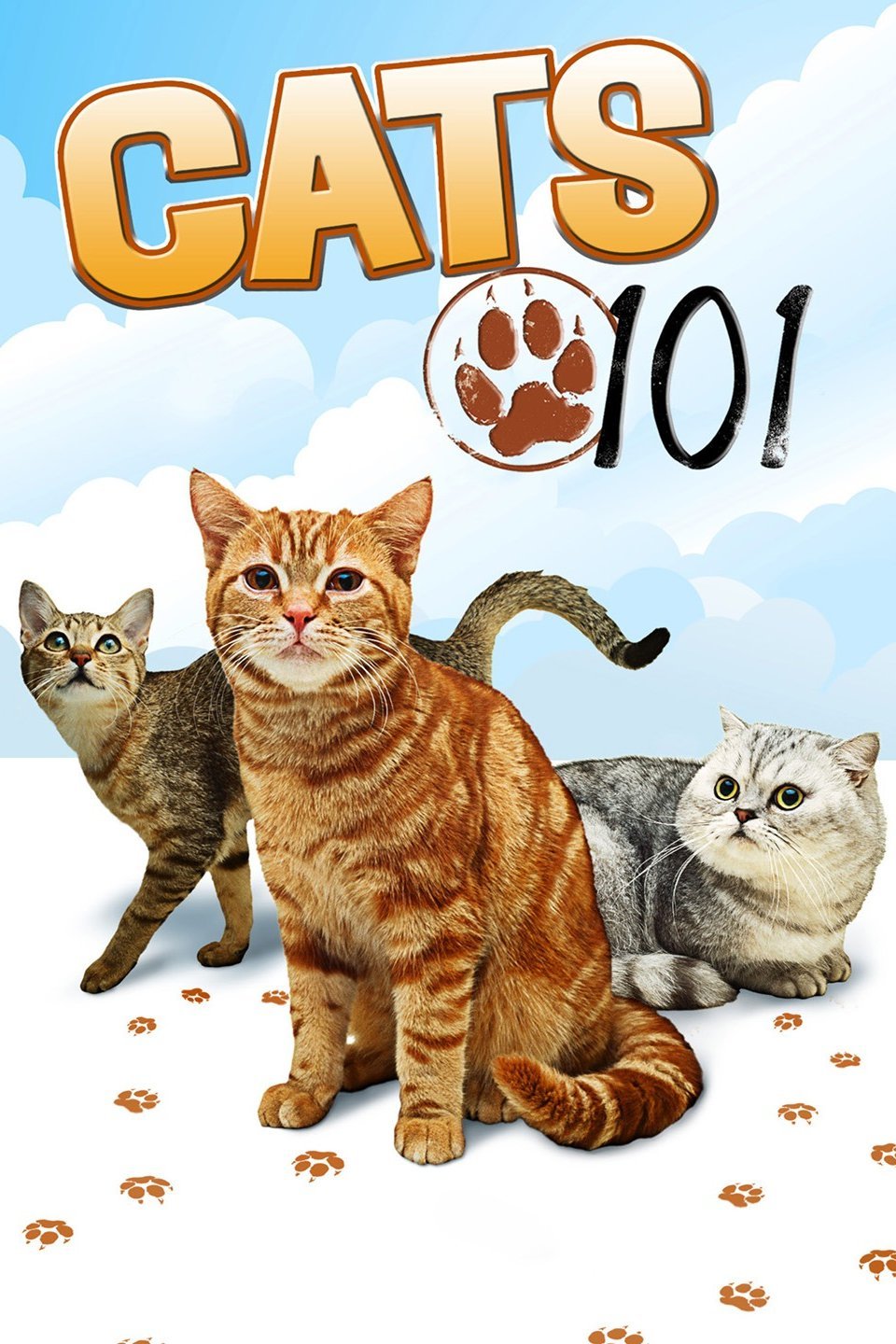 Cats 101 - Alchetron, The Free Social Encyclopedia