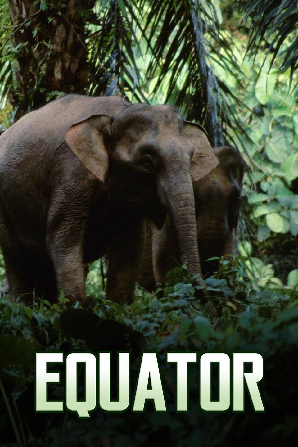 Equator (BBC TV series) - Alchetron, the free social encyclopedia