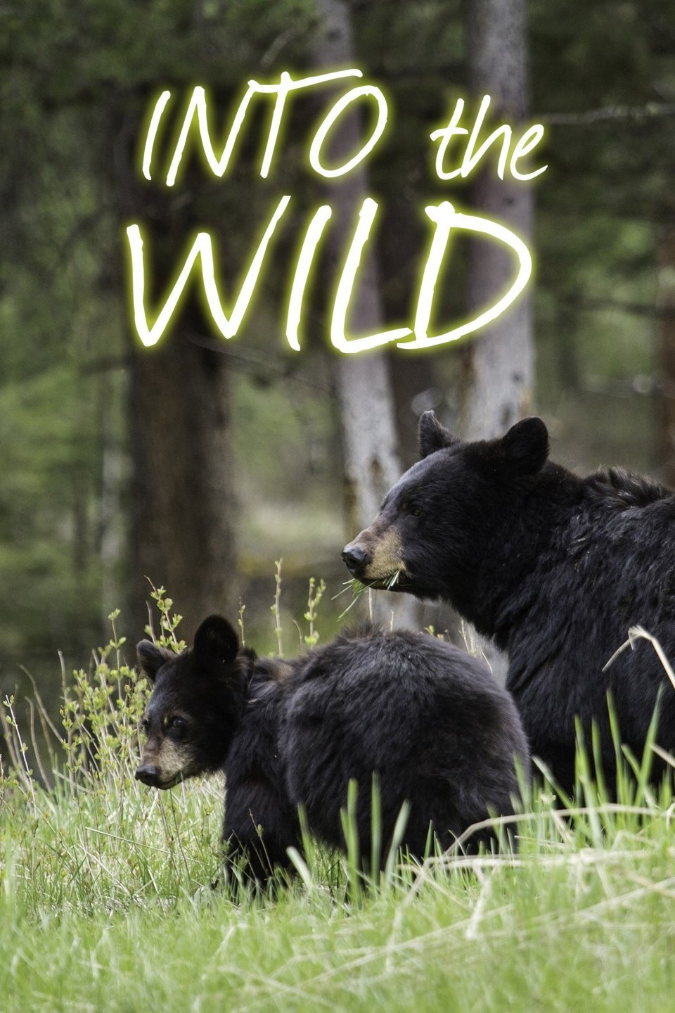 Into the Wild (TV series) - Alchetron, the free social encyclopedia