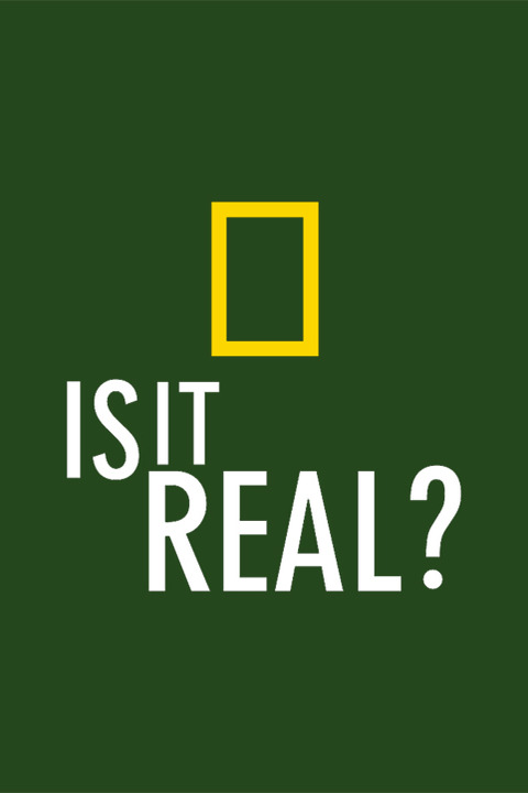 Is It Real - Alchetron, The Free Social Encyclopedia
