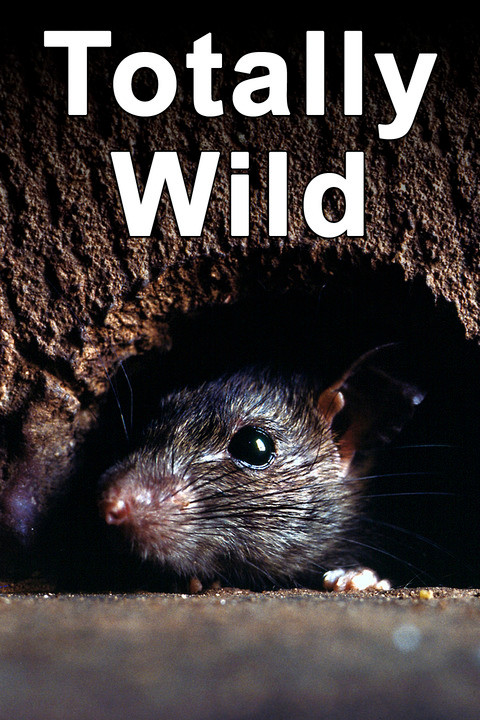 Totally Wild - Alchetron, The Free Social Encyclopedia