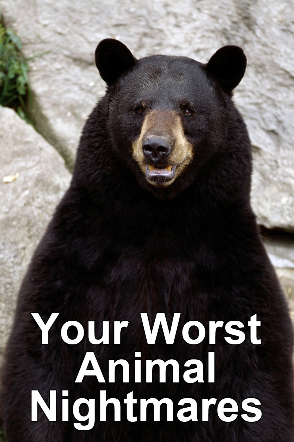 Your Worst Animal Nightmares - Alchetron, the free social encyclopedia