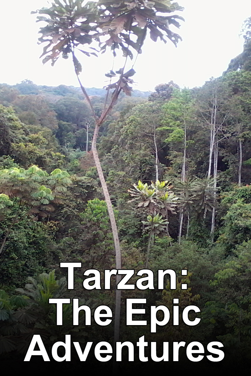 Tarzan: The Epic Adventures - Alchetron, the free social encyclopedia