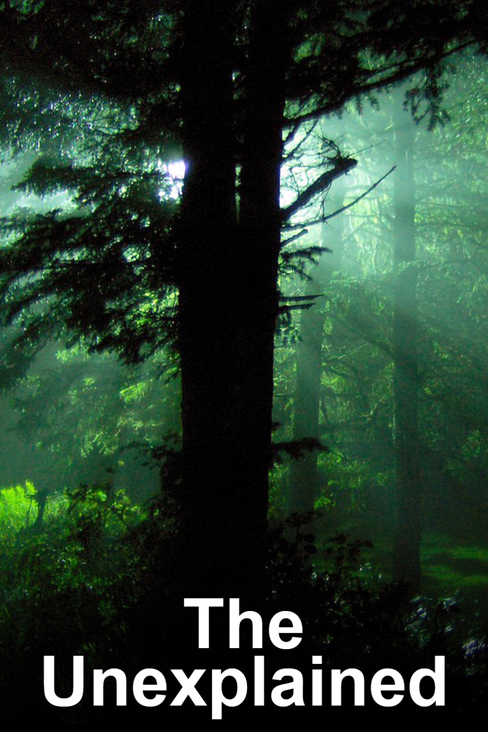 The Unexplained - Alchetron, The Free Social Encyclopedia