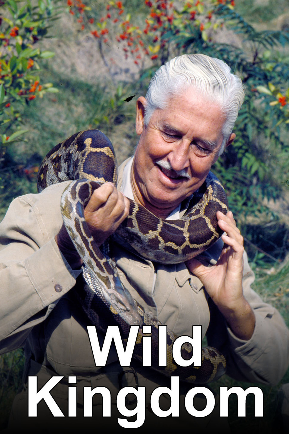 Wild Kingdom - Alchetron, The Free Social Encyclopedia
