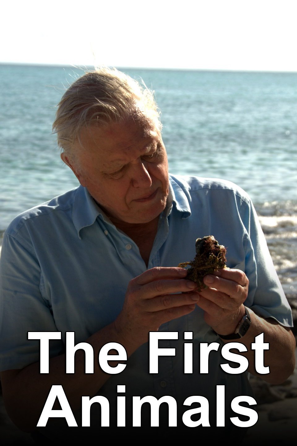 First Life (TV series) - Alchetron, The Free Social Encyclopedia