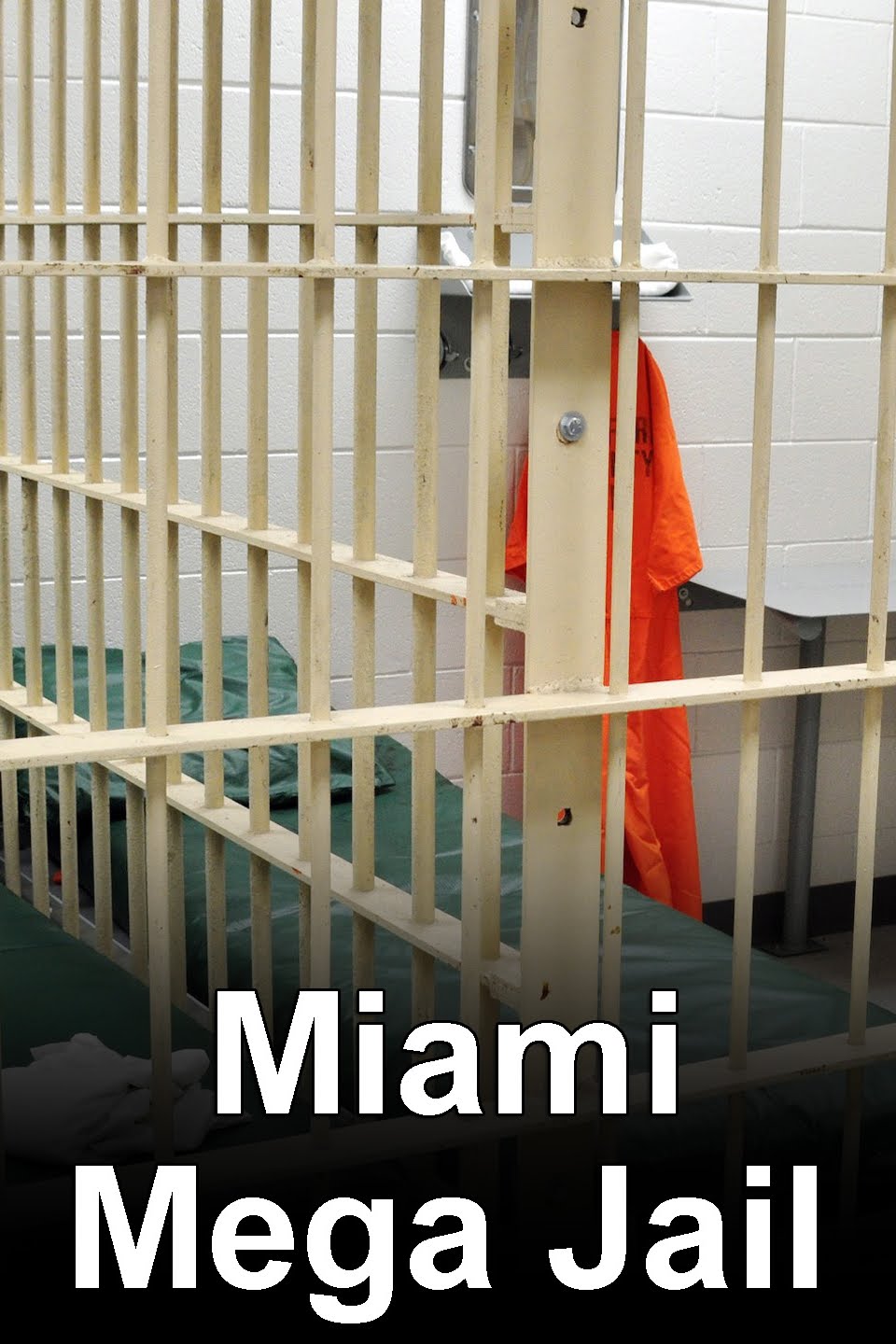 Louis Theroux: Miami Mega Jail - Alchetron, the free social encyclopedia