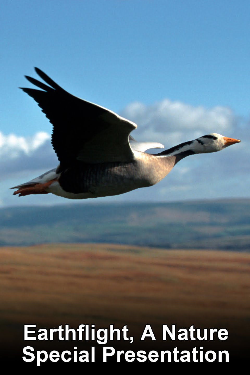 Earthflight - Alchetron, The Free Social Encyclopedia